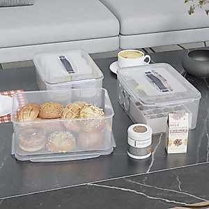 Tstorage 15 Quarts Rectangular Fresh Food Storage Containers, Clear Fresh Food Storage Box with Lid and Handle, Plastic Airtight Freezer Container, 4 Packs