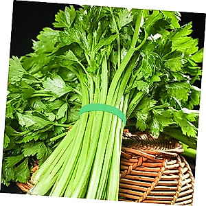 Outanaya 12pcs strap on bag tying tape DIY tying tape packaging bag tapes bag sealing tying tapes convenient tying tape strapping packing bag adhesive tape Multifunction Sealing tape bopp