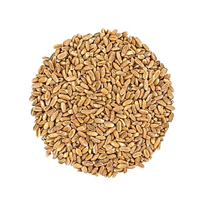 Food to Live Pearled Farro Grain, 1 Pound – Kosher, Vegan, Whole Grain in Bulk, Good Source of Dietary Fiber, Protein and Iron