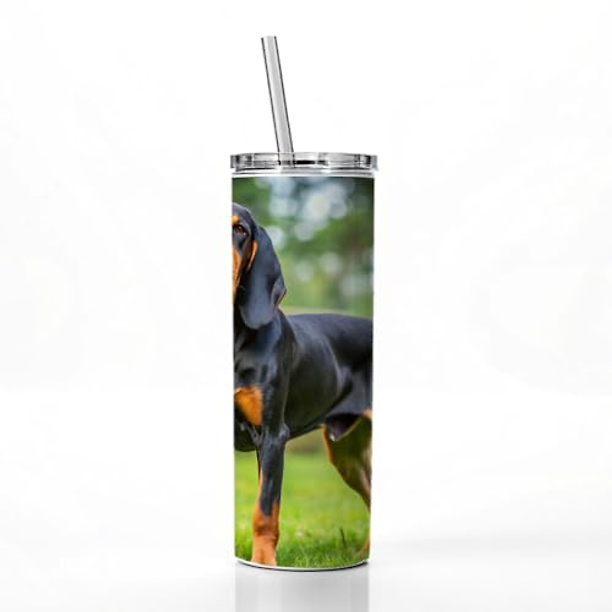 Black And Tan Coonhound Dog Photo Skinny Tumbler 20oz with Straw Insulated Water Bottle Gift