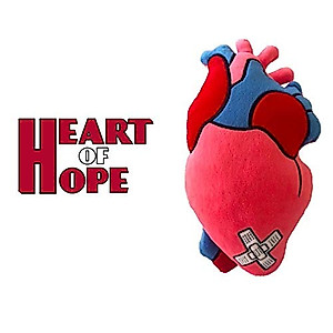 Zymise TANGDIAABBCC Heart of Hope - Stuffed Plush Anatomical Heart Pillow