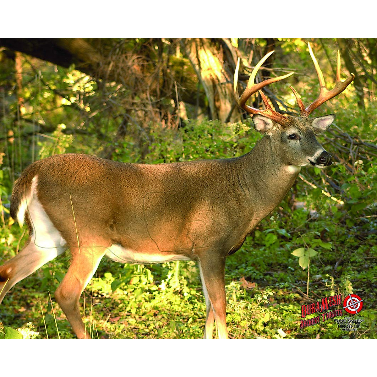 Duramesh Archery Targets Whitetail Deer #3, DM221