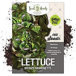 Seed Needs, Butterhead Lettuce Lovers Seed Packet Collection (5 Varieties of Heirloom Lettuce Seeds for Planting) Non-GMO & Untreated - Great for Hydroponics
