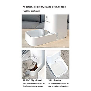 Automatic pet Feeder and Water Dispenser Set Cat and Dog Big Capacity Pet Bowl for Cats & Small,Medium, Large Dogs 1 Gallon Feeder and 3.7L Waterer (Waterer+Feeder White)
