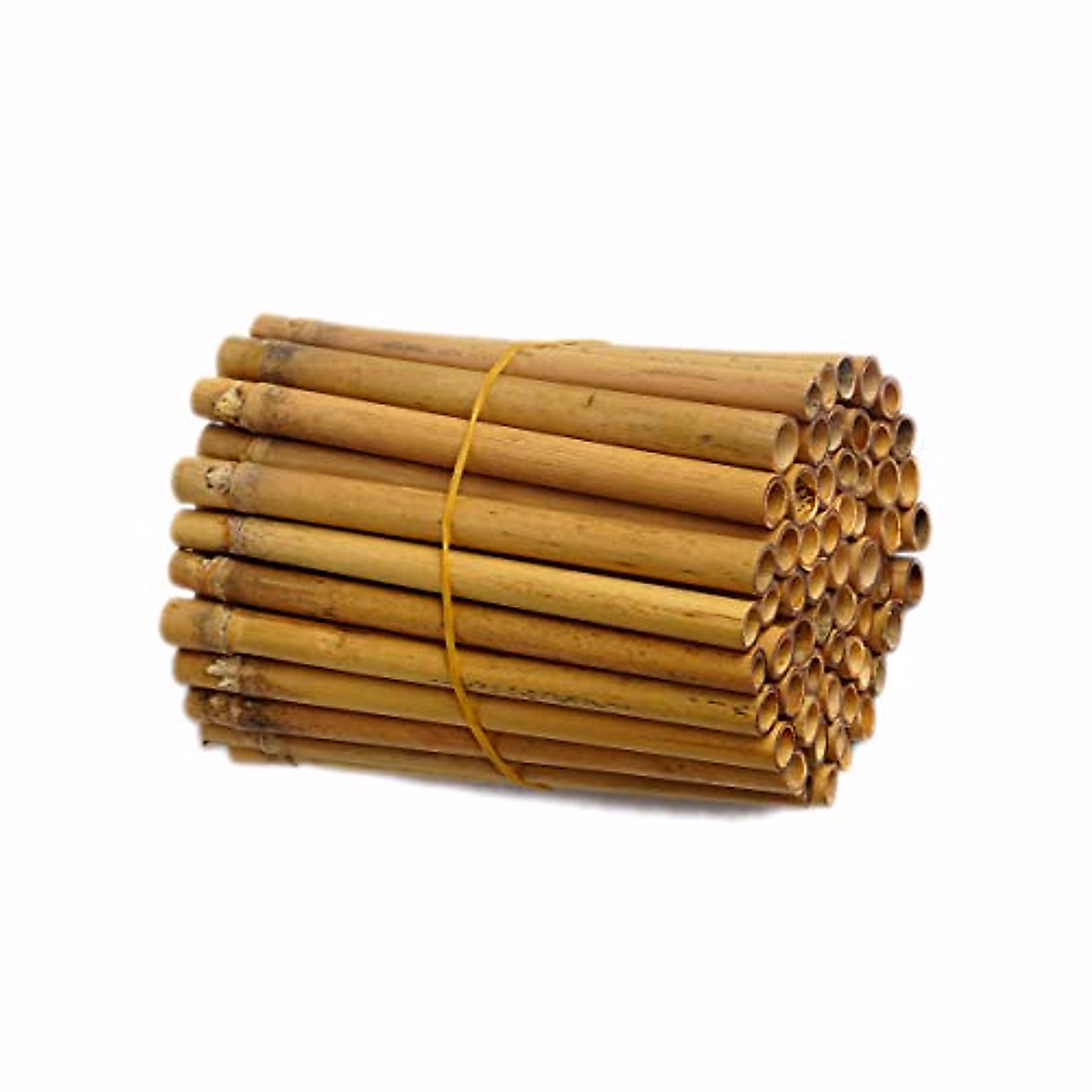 IA Crafts Bamboo Tubes, for Mason Bees, Natural Bamboo Bee Nest, Easy to Split for Cocoon Harvest, 5.9" Long and 0.27"-0.4" Inner Diameter (0.75)