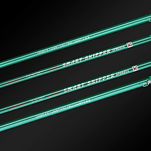 BERRYPRO Ultralight Spinning Fishing Rod, Travel Spinning Rod with Solid Carbon tip Fast Action, 2-8lbs, 1/32-1/8oz (6', 6'6'') (6'6''-Ultra Light-2pc)