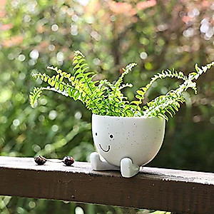 AIMEBBY Face Flower Pot Face Head Planter for Indoor Plants Succulent Planters with Drainage Hole Resin Planter 4 Inches
