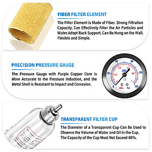 TAILONZ PNEUMATIC 1/4 Inch NPT AFR2000 Air Filter Pressure Regulator Kit（0 to 145 Psi）5 Micron Brass Element Air Tool Compressor Filter with Gauge
