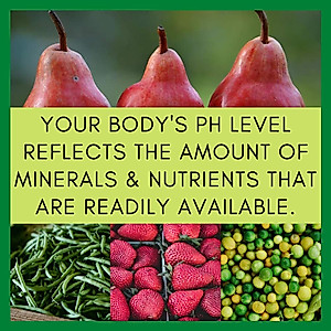 pH Testing Paper (2 Rolls) Morter HealthSystem Best Process Alkaline — Urine & Saliva Testing Paper for Alkaline & Acidity Analysis (8.33 FT - Approximately 100 Uses Per Roll)