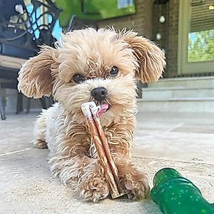 Pawstruck All-Natural 3-5" Bully Sticks for Small Dogs & Puppies – Single Ingredient, Low Odor & Rawhide-Free Dental Chew Treat Bones - 100% Real Beef with No Artificial Preservatives - 8 oz Bag
