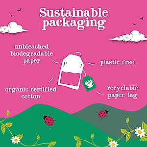 Clipper Tea Organic Herbal & Green Tea Selection/Sampler, Gift Box - Eco Friendly, Self Care, Fair Trade. Assorted Individually Wrapped Tea Bags, 1 box, 45 Unbleached Tea Bags, Gifting