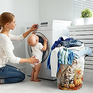 TsyTma Fall Cat Collapsible Laundry Baskets Laundry Hamper with Handles Cute Tabby Cat Pumpkins Round Dirty Clothes Hampers for Laundry Bathroom Bedroom Decor