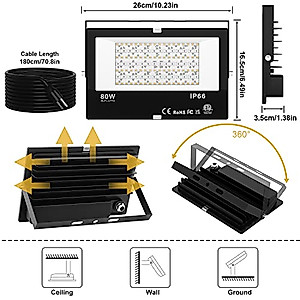 LED Flood Light Outdoor 800W Equivalent 8000LM, Smart RGB Color Changing Landscape Lighting with APP Control, IP66 Waterproof Daylight 5700K 23 Modes Floodlights Wall Light for Garden Stage 4 Pack