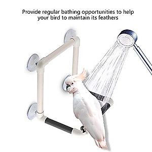 Bird Parrot Shower Perch, Portable Birds Bath Stand Toy with 4 Suction Cups, Plastic Parrot Window Shower Wall Rack Platform for Parakeet Lovebirds Macaw Cockatiel Cockatoo, White