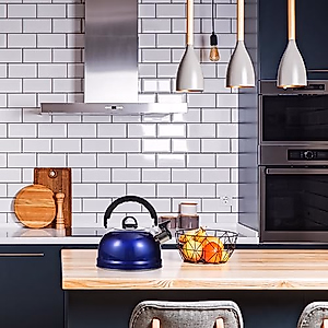 Whistling Tea Kettle Stainless Steel Tea Pot Tea Kettle Stovetop Whistling Kettle with Cool Grip Handle for for Kitchen Camping 3 Liter Gas Stove Teakettle