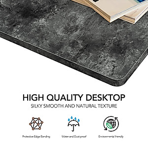 FLEXISPOT EC1 Essential Adjustable Desk, Electric Standing Desk Sit Stand Desk (55x28, Gray Frame+Graphite)