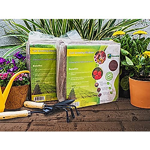 Envelor Coco Coir Brick Coconut Fiber for Plants Natural Garden Soil for Vegetables Potting Soil Block Coco Peat Coco Coir Bulk Coconut Husk Planting Soil 10 lbs Compressed Coconut Coir Brick, 1 Pack