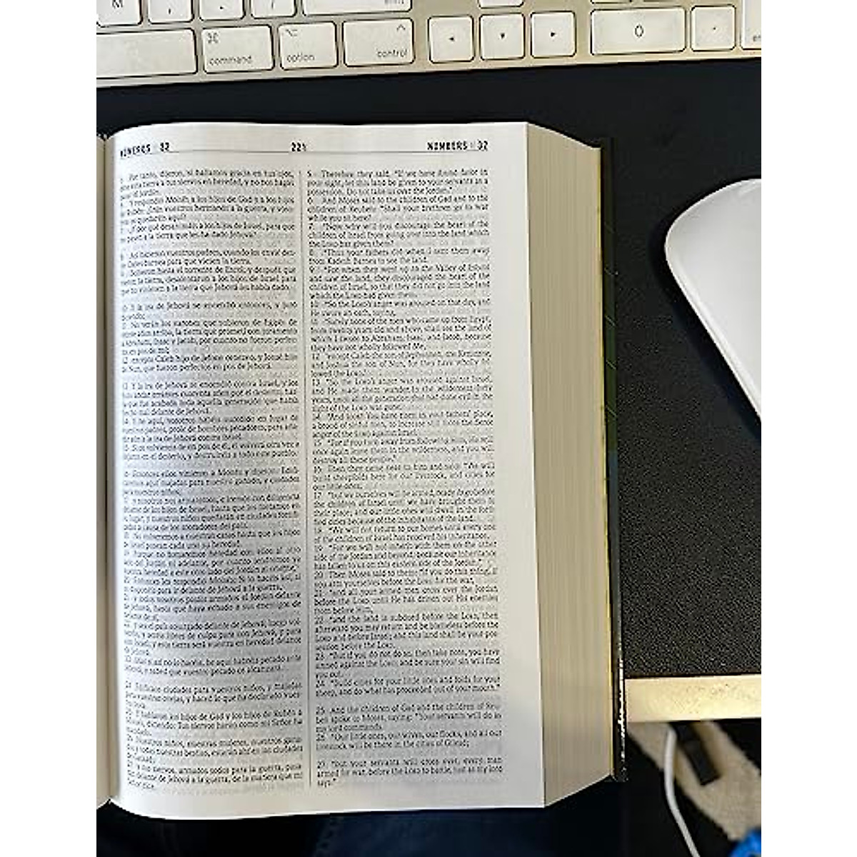 Bilingual Bible RVR1960 / NJKV (Spanish Edition)