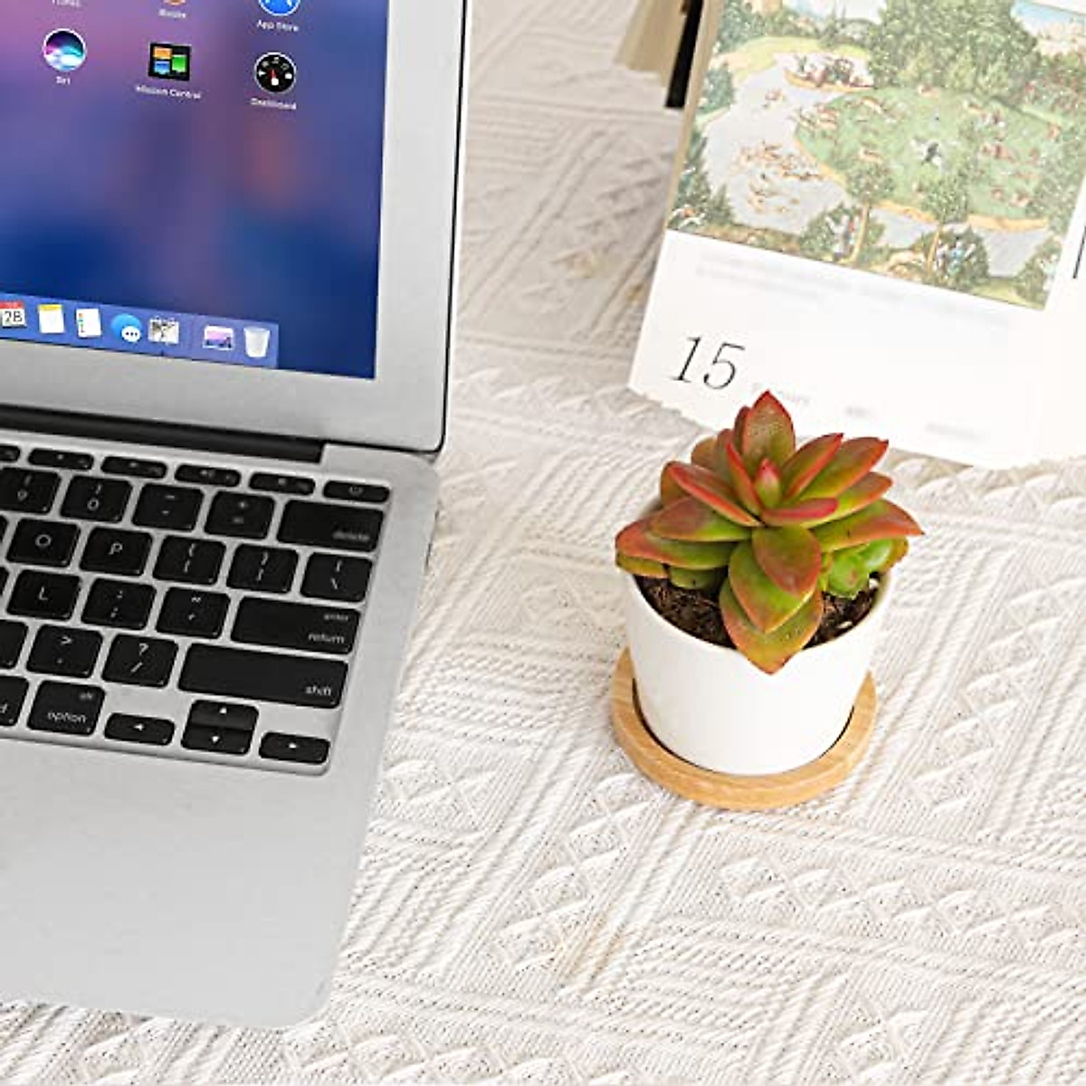 T4U 2.5 Inch Small White Succulent Planter Pots with Bamboo Tray Round Set of 12, Ceramic Succulent Air Plant Flower Pots Cactus Faux Plants Containers, White Modern Decor for Home and Office