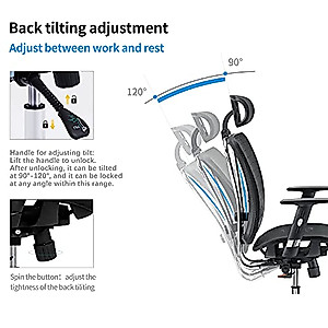 Cedric Office Chair,Breathable Mesh Computer Chair with Ergonomic Adjustable Lumbar Support, Black Swivel Desk Chair with Adjustable Armrest and Headrest, Mesh Seat,BIFMA Certification No 5.1