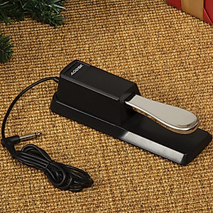 Aodsk Piano Sustain Pedal,Keyboard Sustain Pedal for Digital Piano With Polarity Switch and Anti-Slip Rubber Bottom For MIDI Keyboards,Digital Pianos,1/4'' (6.35mm) Input Plug
