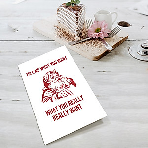 Supoeguk Funny Christmas Card for Men Women, Happy Holiday Card for Friends Family, Cool Santa Card for Him Her, Tell Me What You Really Want