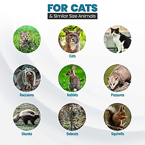 eXuby Large Cat Trap for Stray/Feral Cats & Other Animals - 32"x12"x13” - Catch Them Live & Relocate - Extra Large 8.5" Trigger Platform - Also for; Racoon, Rabbit, Possum, Skunk, Bobcat, Squirrel