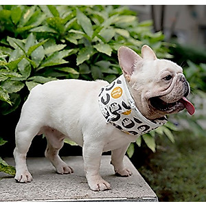 Dog Cooling Bandana, Stock Show Pet Dog Adjustable Ice Chill Out Collar Scarf with 4 Ice Packs for Summer (White Bear)