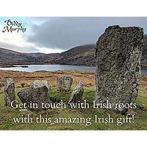 Shamrock Irish Whiskey Glasses Pewter Set of Two Made in Ireland