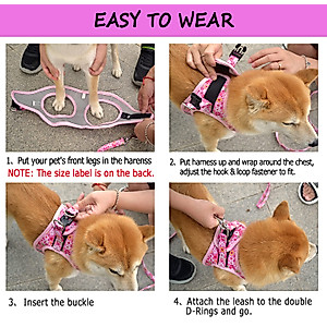 Moonpet Step in Air Dog Harness Leash Set- All Weather Reflective No-Pull Floral Pattern Padded Mesh Vest Harness for Cats Puppy Extra-Small Small Medium Large Dogs - Pink Flower - XXS