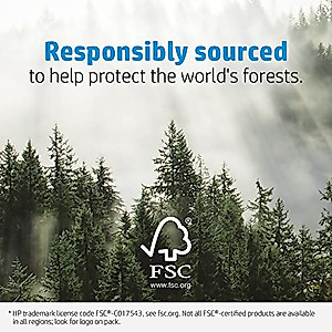 HP Advanced Photo Paper, Glossy, 4x6 in, 50 sheets (F4T22A)