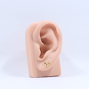 FANSING Tragus Piercing Jewelry Surgical Steel Earrings Gold Cartilage Stud Conch Helix Earrings Stud for Women Snake End with 18g 6mm 8mm 10mm Internally Threaded Post