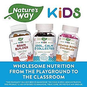 Nature's Way Kids Cool, Calm & Collected, Ages 8+, Grape Flavored, 40 Vegetarian Gummies