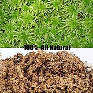 Sphagnum Moss Potting Mix Soil for Carnivorous Plants, Potting Orchid, Sarracenia, Pitcher Plants, and More, All Natural (1 Qt)