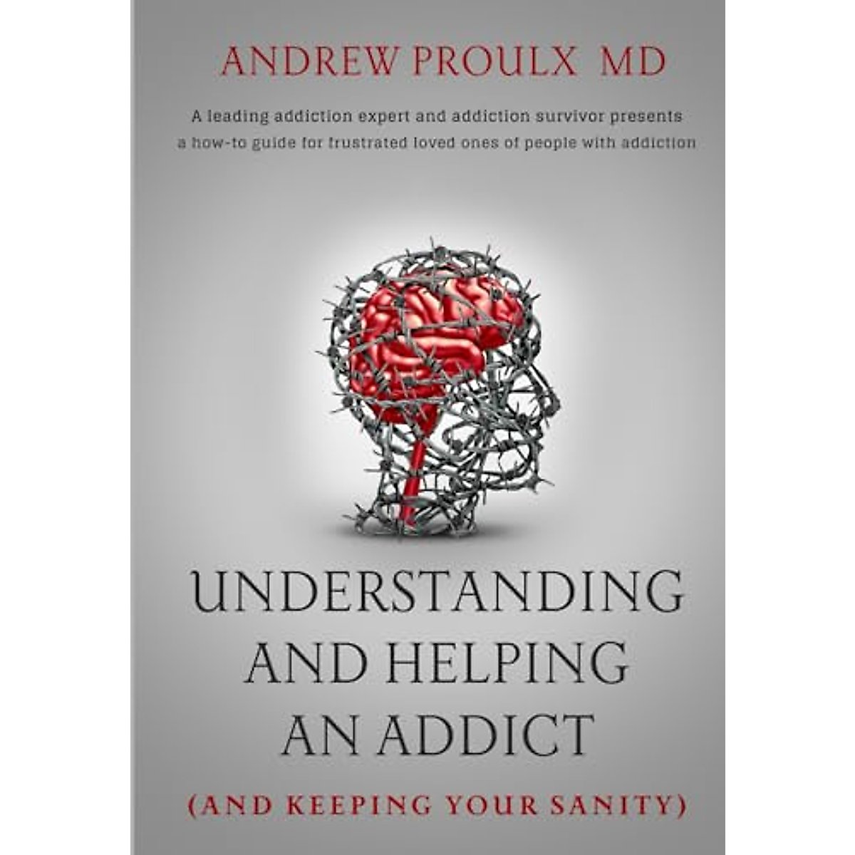 Understanding and Helping an Addict (and keeping your sanity)
