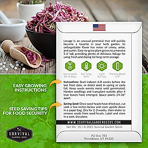 18 Medicinal Herb Seed Packets to Plant & Grow - Assortment of Beneficial Plant for Herbal Teas & Medicinal Uses - Non-GMO Heirloom Varieties - Survival Garden Seeds