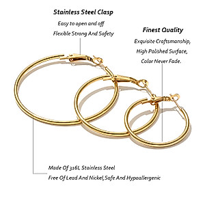 6 Pairs Stainless Steel gold silver Plated Hoop Earrings for Women, Hypoallergenic Hoops Women's Earrings Loop Earrings Set