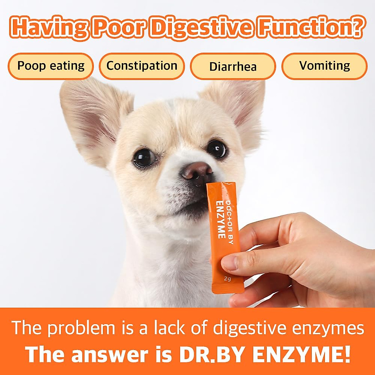 Doctor By Enzyme for Dogs Digestive Enzyme Supplements for Dogs with Protease, Amylase, Lipase - Promotes Digestion and Improves Nutrient Absorption - 30 Individually Packaged (1 Pack)