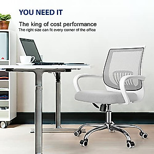 PPW Office Chair,Ergonomic Dual Backrests,Desk Chair Back Support, Best Office Chair for Posture, Mesh Office Chair,(Cushion is Light Gray)