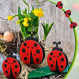 3 Pieces Spring Summer Tiered Tray Decor Red Ladybug Wooden Blocks Signs Farmhouse Ladybird Free Standing Decor Kitchen Shelf Display Ladybug Daisy Tiered Tray Decoration Housewarming Gift