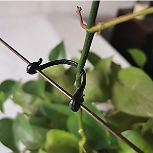 SUSUB 200PCS Grape Trellis Kiwi Grape Stem Vine Clips Grape Ties Garden Plant Support Clips Holder Fruit Buckles Hooks Fixed Fork Vine Training Grow Ties Staking Twine