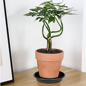 Bleuhome 6 Pack Plant Saucer Tray, 4 6 8 10 12 13 15 17 19 inch Plant Saucers, Heavy Duty Plastic Plant Saucers for Indoors, Bird Bath Bowls, Flower Plant Water Trays for pots Planter (6", Black)