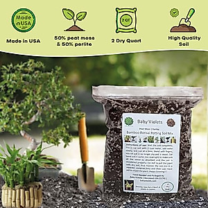 Bamboo Bonsai Plant Potting Soil Mix Peat Moss & Perlite (½ Gallon / 2 quarts). Repot Ficus, Lucky Bamboo Soil