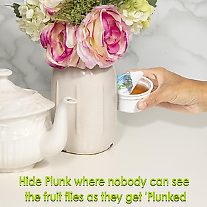 Plunk Fruit Fly Trap – 3-Pack – All Natural, Non-Toxic Indoor Solution for Home Kitchen – Safe, Recyclable Material, Easy to Use & Effective