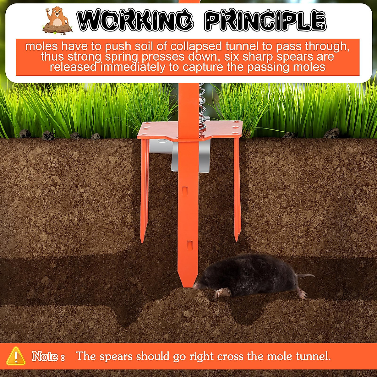 Qualirey 6 Pcs Mole Trap for Lawns, Spear Style Mole Killer for Garden Yard Outdoor, Alloy Steel Mechanical Vole Gopher Trap, Quick and Clean Mole Traps That Kill Best