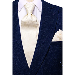 Hi-Tie Silk Ties for Men Plaid Paisley Striped Necktie Pocket Square Cufflinks Set Formal Business,Lvory