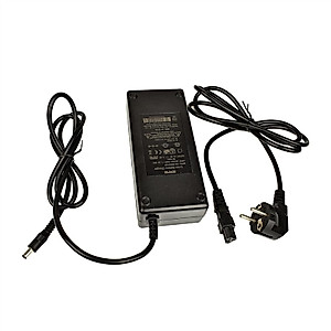 Bike Fender 54V.6 or 42V Li-ion Electric Bicycle Battery Charger 48V 120W or 36V 90W Output DC 5.5 * 2.1 E Bike Charger Mud Guards (Color : 42V DC 5.5 2.1)