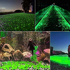 Ebliiny 500 Pcs Glow in The Dark Garden Pebbles, Gardening Luminous Glow Stones Outdoor Decor Glowing Water Fish Tank Gravel (Green)