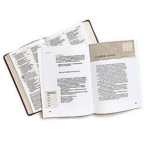 Jonah: Navigating a Life Interrupted (Bible Study Book)