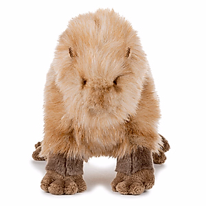 Wildlife Tree 12 Inch Standing Stuffed Capybara Plush Animal Kingdom Collection